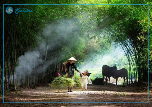 Al-Harakah Barakah - Jaringan Santri